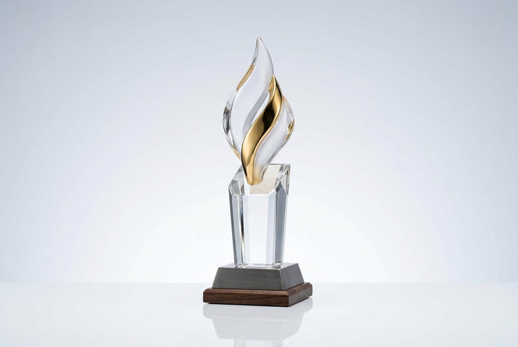 Top Trophy and Award Companies in Bangalore (2026) | Meru Trophy