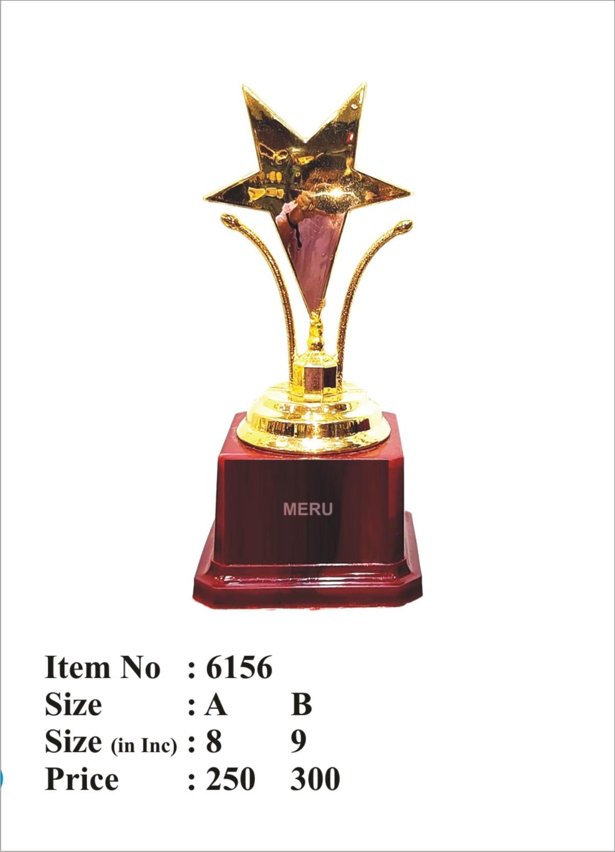 Fibre-Trophy Awards – Meru Trophy