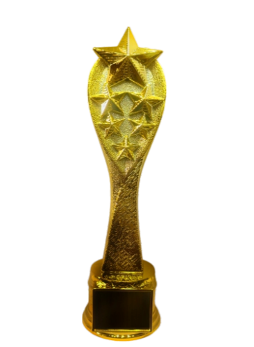 Star Trophy | Corporate Awards | [Your Brand] – Meru Trophy