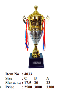 Buy Premium Trophies – Meru Trophy
