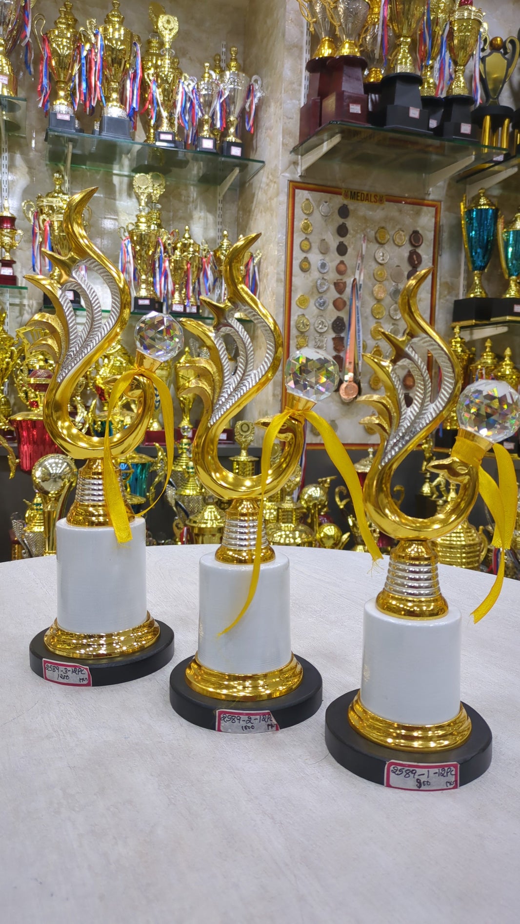 Corporate and College Premium Trophies – Meru Trophy